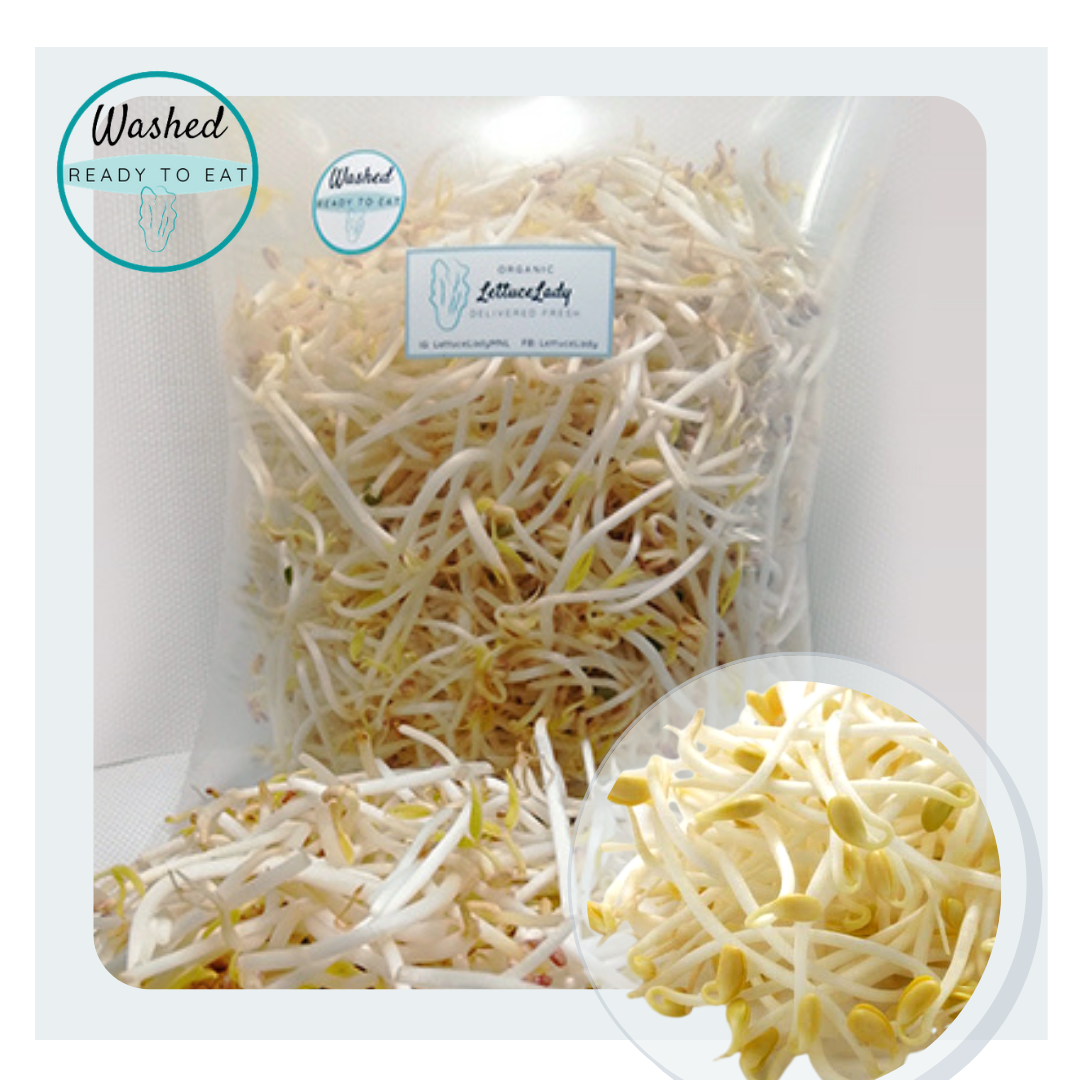 Organic Bean Sprout 700g – LettuceLady